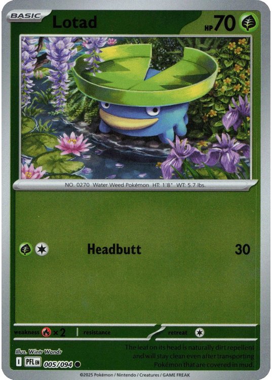 Lotad 005/094 Reverse - Pokemon enkeltkort fra ME02 Phantasmal Flames